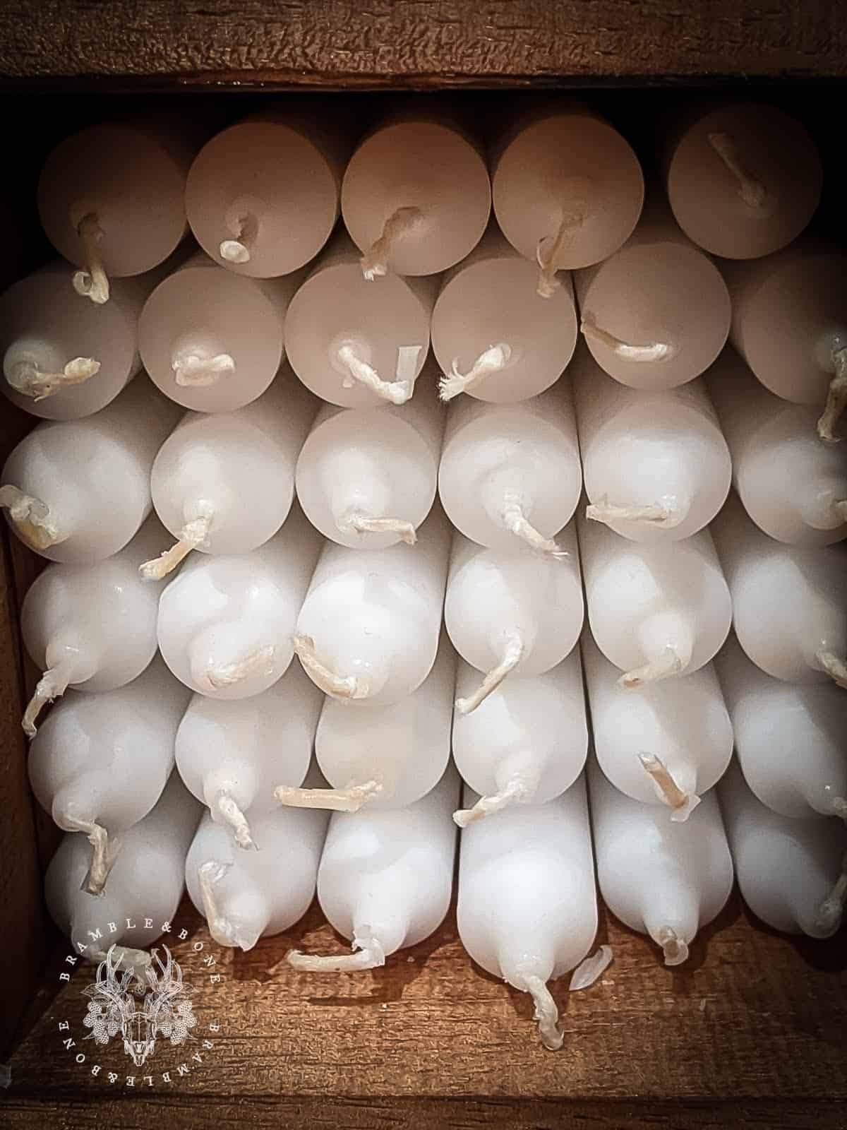 White Dinner Candles - by Bramble & Bone