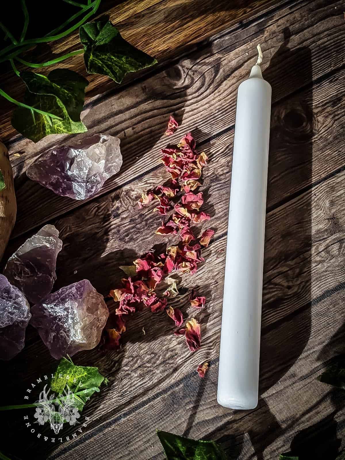 White Dinner Candles - by Bramble & Bone